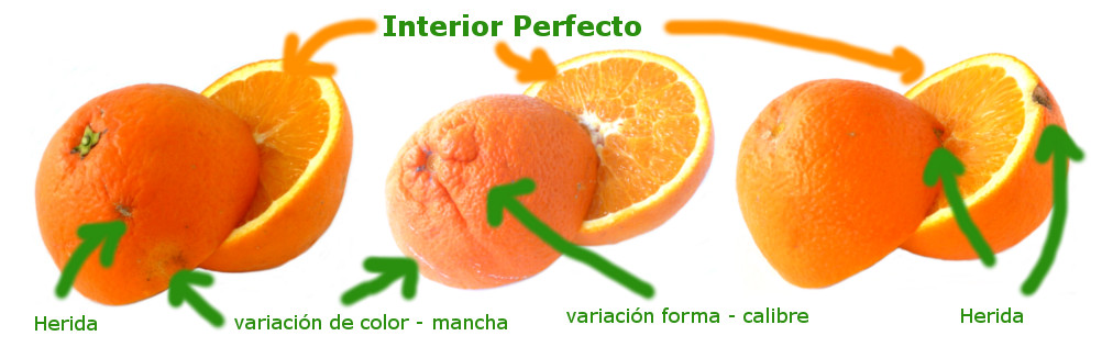 Preguntas frecuentes